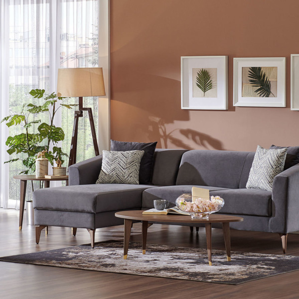 CORNER PURINA - Alfemo